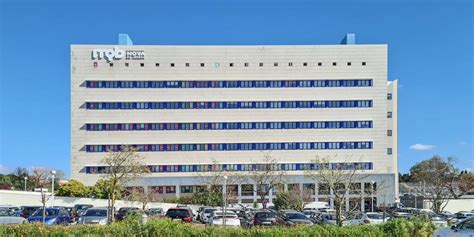 Regresso Ao Futuro Com A Ciência No Dia Aberto Do Itqb Nova Renascença