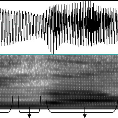 Spectrogram And Waveform Of The Words Can Grow An Example Of An Download Scientific Diagram