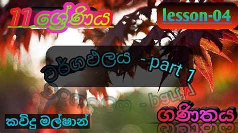 11 ශ්‍රේණිය 4 පාඩම වර්ගඵලය Part 1 Youtube