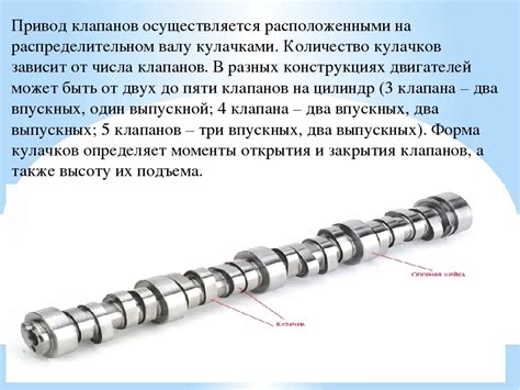 Распределительный вал двигателя: устройство, виды, как работает, назначение