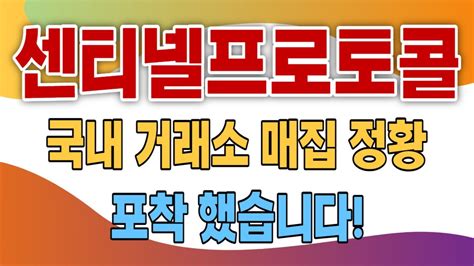 센티넬프로토콜 국내 거래소 매집 정황 포착 했습니다 Youtube