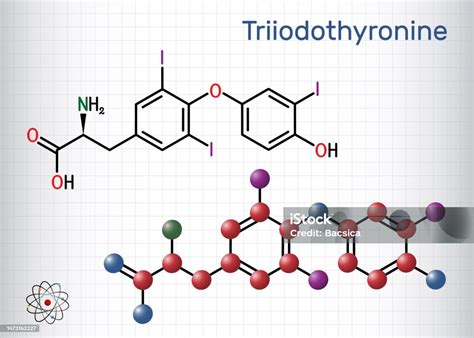 트리 요오드 티 로닌 T3 리오 티로 닌 분자 갑상선 호르몬 뇌하수체 호르몬으로 갑상선 기능 저하증 치료에 사용됩니다 구조 화학식 분자 모델 새장에 종이 한 장 분자에 대한
