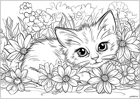 Gatinho Para Colorir Rodeado De Lindas Flores Páginas De Gatos Para