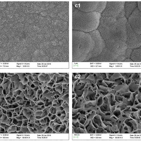 Sem Micrograph Of The 3d Bg Scaffold After Soaking In Sbf For Different