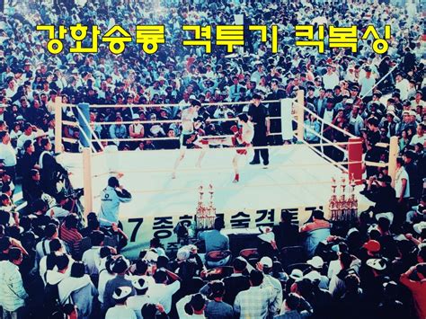 승룡격투기킥복싱 Band
