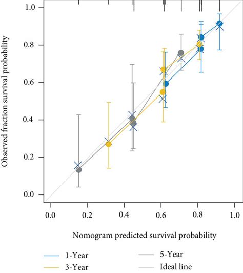 Construction And Validation Of Visual Prognostic Stratification System Download Scientific