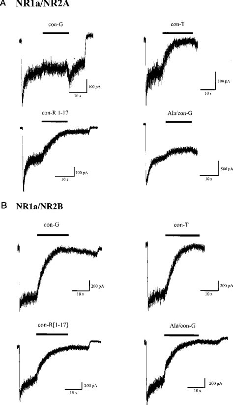 Figure 1 From The Amino Acid Residue At Sequence Position 5 In The