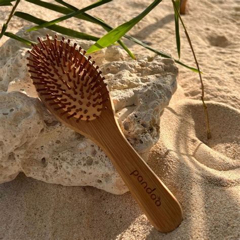 Pandoo Bamboo Hairbrush Ecco Verde Ireland