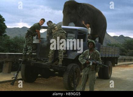 Operation Dumbo Drop 1995 Ray Liotta Dinh Thien Le Opdp 013 Stock