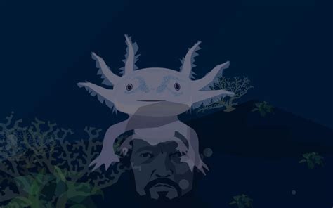 Axolotl Release Date Videos Screenshots Reviews On Rawg