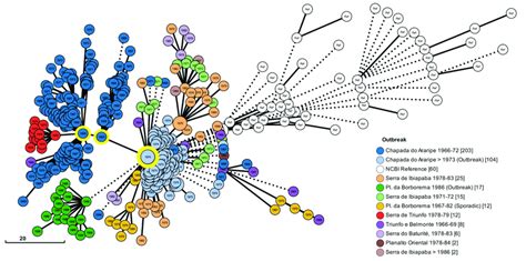 Graph Showing Clusters Of Strains Based On Gene By Gene Analysis Each Download Scientific