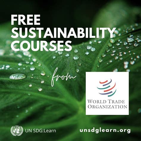 Un Sdg Learn On Linkedin Partnerfeature Unsdglearn Wto