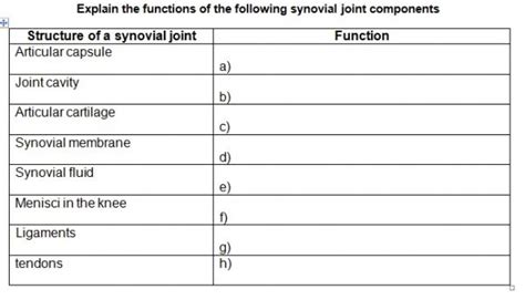 Synovial Joint Table X Global Fitness Institute