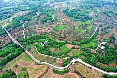 四川仁寿加大水利设施建设 人民图片网