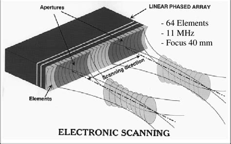Principle Of Electronic Scanning With A Phased Array Probe Download Scientific Diagram