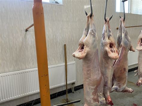 Хан жаргалант үйлдвэр Ховд аймгийн мах махан бүтээгдэхүүний хэрэгцээг ханган ажиллаж байна