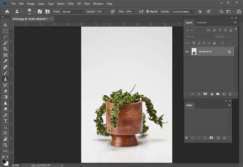 Clipping Path In Photoshop The Ultimate Steps Update Methods