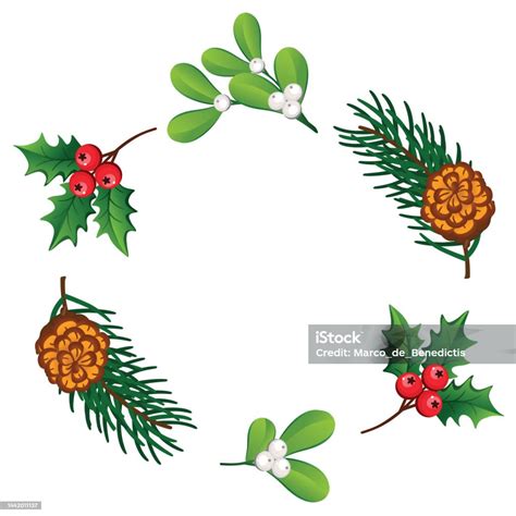 소나무 가지와 붉은 열매 벡터 삽화 고립 된 크리스마스 화환 허브와 식물의 둥근 프레임 소나무 홀리와 겨우살이 복사 공간이 있는 크리스마스 꽃 엽서 0명에 대한 스톡 벡터