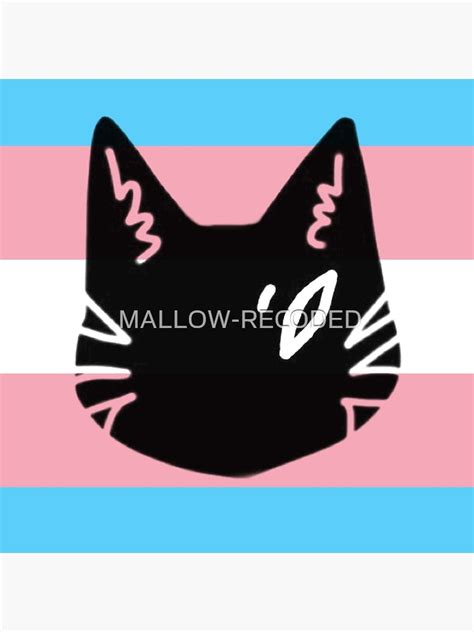 Trans Representation Poster For Sale By Mallow Recoded Redbubble