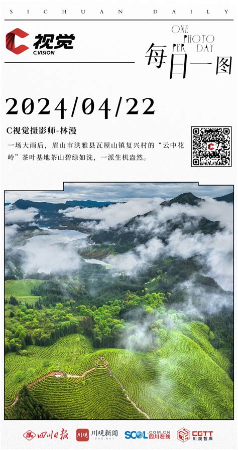 C视觉每日一图｜眉山：雨后茶山绿满园（2024年4月22日）四川在线