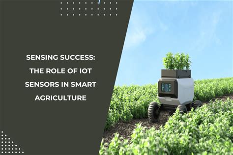 Sensing Success The Role Of Iot Sensors In Smart Agriculture Dax Cooke Visionary