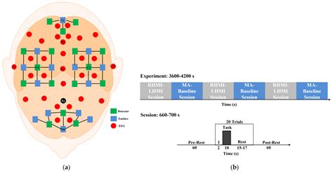 Optef Bci An Optimization Based Hybrid Eeg And Fnirsbrain Computer