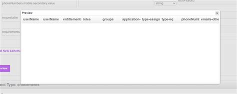 Unable To Pull Schema Preview For An Application Using SCIM Connector IIQ Discussion And