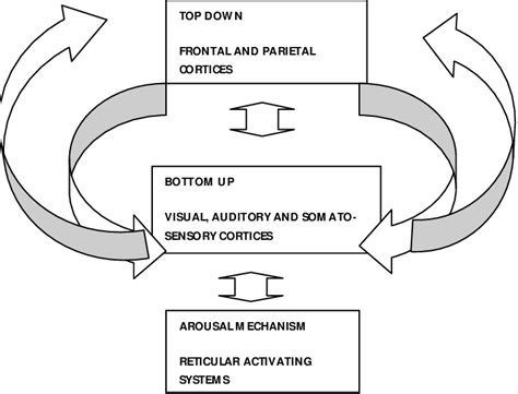 figure1 a graphical representation of top down and bottomup attention
