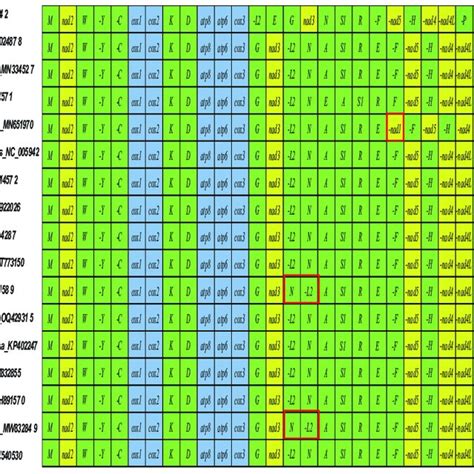 The Plot Of Effective Codon Enc And Average Gc Content In The Third Download Scientific