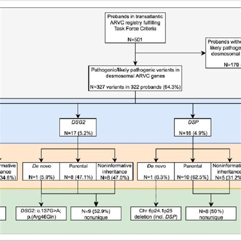Inheritance Of Variants Tree Diagram Summarizing The Inheritance Of Download Scientific
