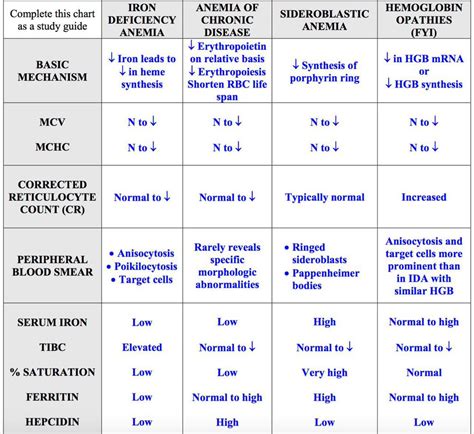 Meaning Of Microcytic Anemia At Paula Guzman Blog