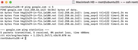 How To Monitor The Network On Ubuntu Server 2004 Devtutorial