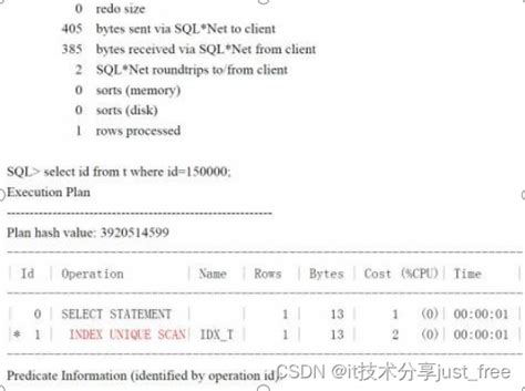 Oracle 索引概述，索引类型，索引监控以及限制索引使用的情况oracle数据库索引类型有哪些 Csdn博客