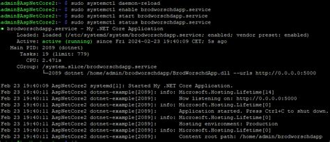 Core Web App Dotnet Mit Raspberry Pi Hosten