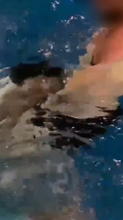 Str8 Guy Lost A Bet And Had To Let Gay Friend Blow Him ThisVid Com Str8 Guy Lost A Bet And Had To Let Gay Friend Blow Him ThisVid Com