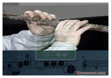 学吹长笛入门，韩国良长笛教学flv视频合集免费下载 长笛下载 长笛学习网