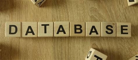 What Is Database Marketing A Comprehensive Overview