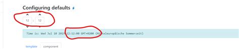Bugtimepicker Error When Writing 12 In The Text Box Reserved For Hours But When Using The