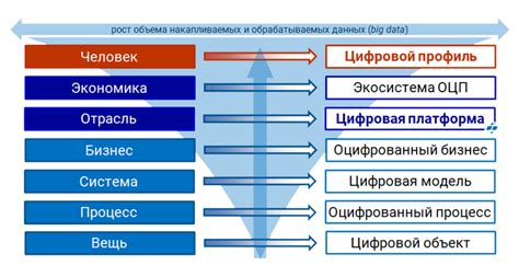 Фабрика Цифровых Платформ