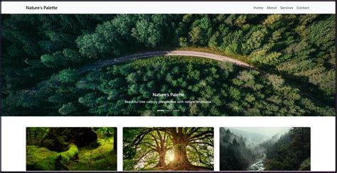 Webdevelopment Responsivedesign Natureinspiration Internshipexperience Learningandgrowing
