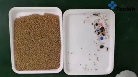 Automatic Wheat Color Sorting Machine Single Phase At Rs 2400000 Unit In Aralvaimozhi