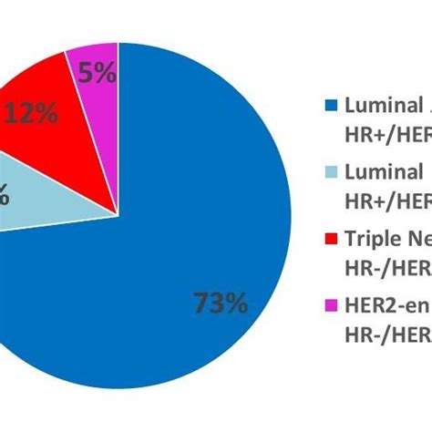 The Incidence Of Clinical Breast Cancer Subtypes In The United States Download Scientific