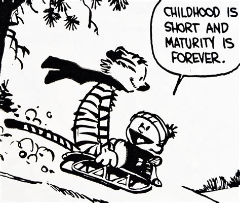 Calvin And Hobbes Best Quotes Calvin And Hobbes Quotes And Sayings 41