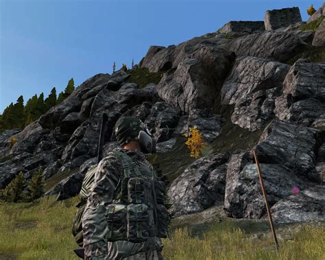 Steam Community :: DayZ