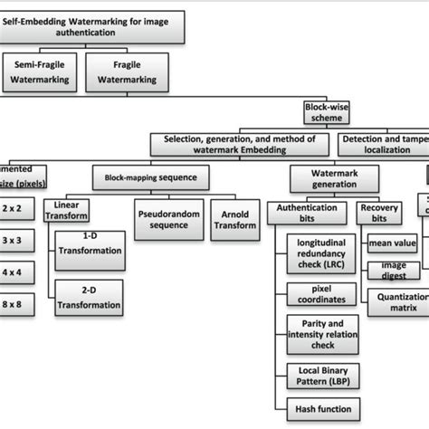 A Brief Overview Of Self Embedding Watermarking For Image