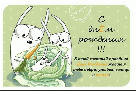 День рождения смешные картинки 65 фото