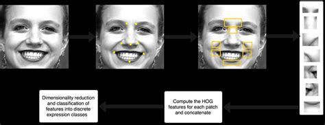 Conception Of The Facial Expression Recognition System A Download Scientific Diagram