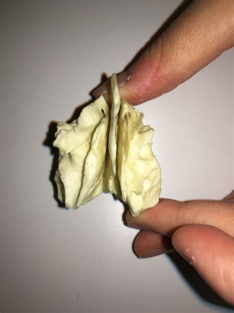 Ethmoid Bone Diagram Quizlet