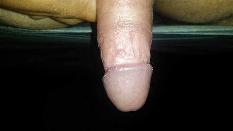 Meeee Porn Pictures Xxx Photos Sex Images 1540427 Pictoa