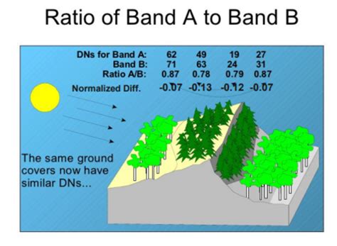 Spectral Indices And Time Series Analysis Karteikarten Quizlet